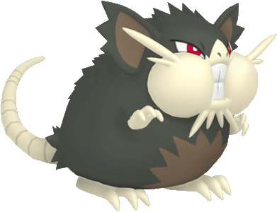 Rattatac d'Alola (Alolan Raticate) Strat - Un gros rat de la région d'Alola